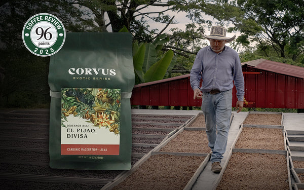 El Pijao Divisa • Coffee Review 2025 - Corvus Coffee