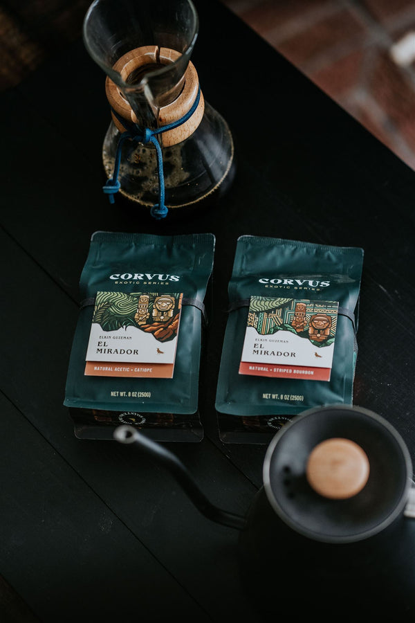 The Coffee Bellweather & The Miradors - Corvus Coffee