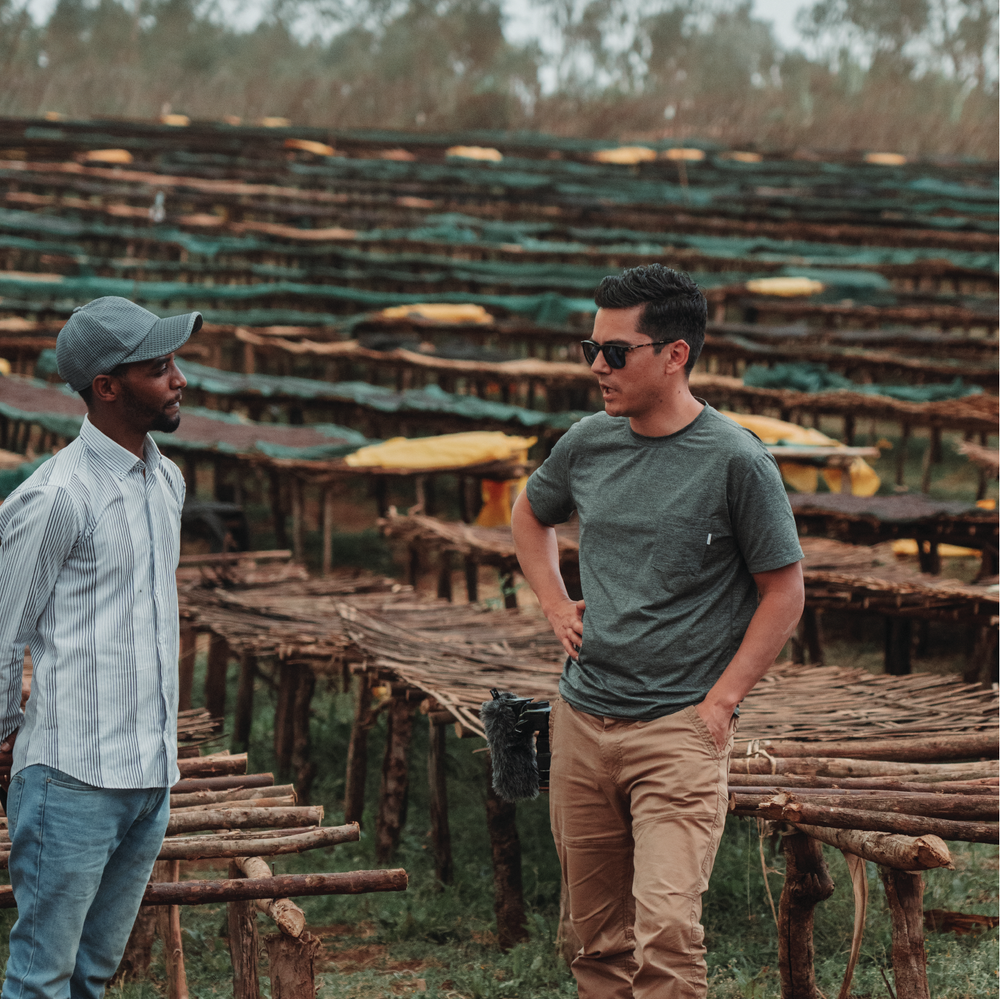 Corvus Coffee Roasters • Denver based specialty coffee roasters