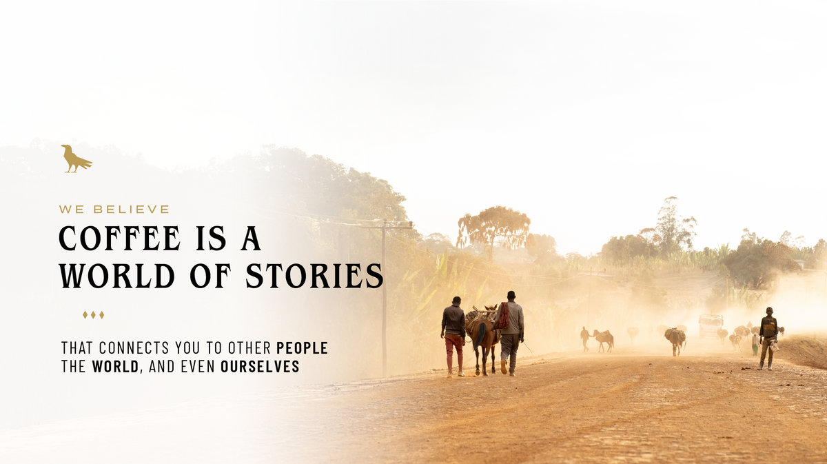 Corvus Coffee Roasters • Denver based specialty coffee roasters