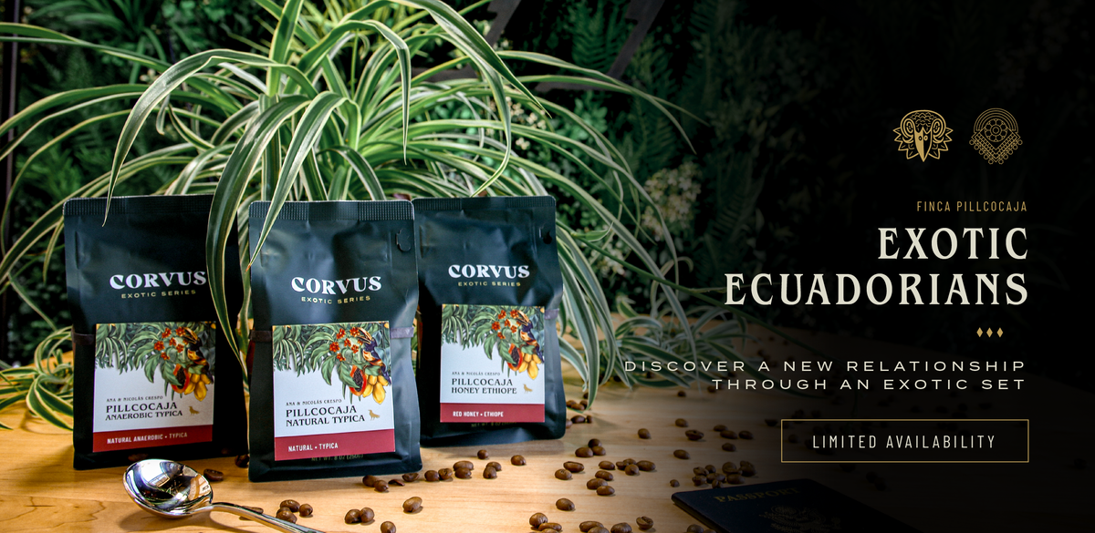 Corvus Coffee Roasters • Denver based specialty coffee roasters