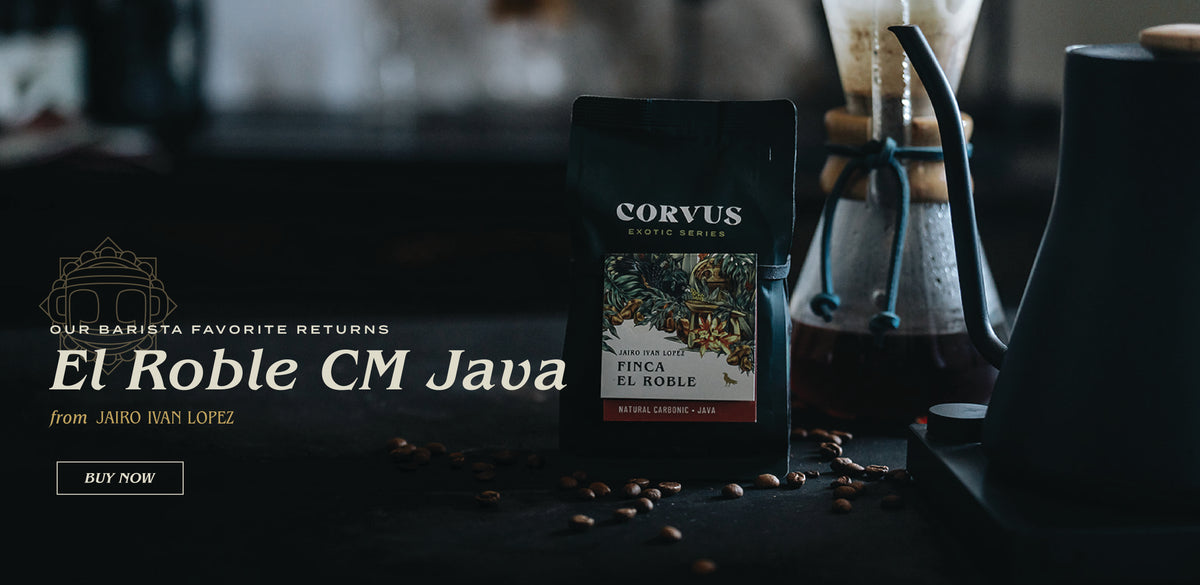 Corvus Coffee Roasters • Denver based specialty coffee roasters