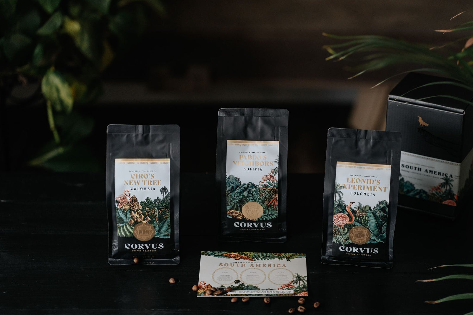 Corvus Coffee Roasters • Denver based specialty coffee roasters