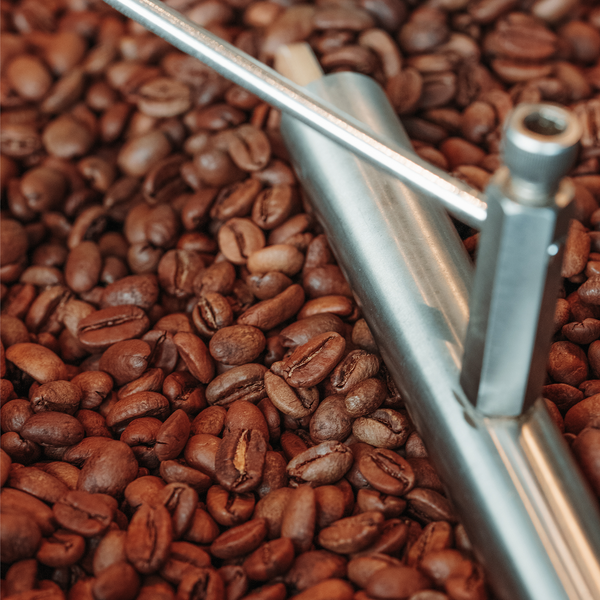 Halcyon Daily Coffee Blend • Best Coffee for Drip - Corvus Coffee